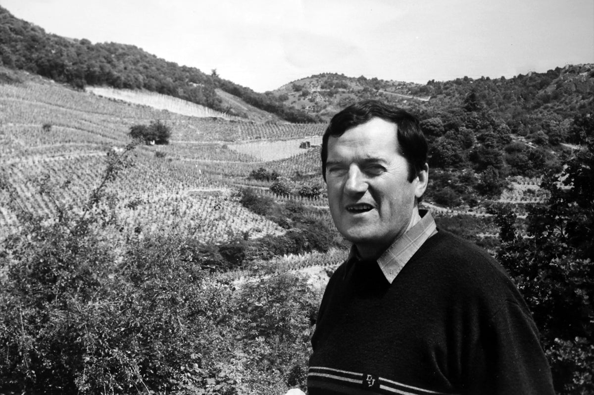 Northern Rhone Extravaganza: New Wines from Alain Voge — Some Good Wine